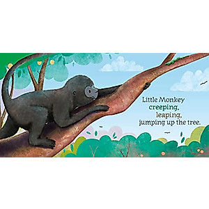 Little Monkey (Little Animal Friends)