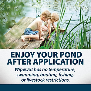 Airmax Wipeout Pond Weed Defense, Herbicide & Aquatic Weed Control, Controls Duckweed & Other Unwanted Submerged & Floating Vegetation, Easy-to-Use & Long Lasting, All-Season Treatment - 16 Ounce