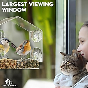 Window Bird Feeders for Outside - Large Bird House Style Window Bird Feeder - Window Bird Feeders with Strong Suction Cups with Drain Holes, Removable Tray, Large Seed Capacity and Rubber Perch