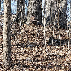 Ghostblind 6-Panel Runner Blind