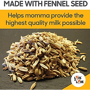 Bitch Pills - Pregnant Dog Prenatal Vitamins - 45 Tablets