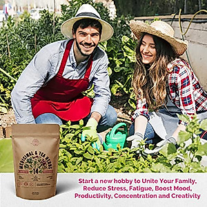 14 Medicinal & Tea Herb Seeds Variety Pack for Planting Indoor & Outdoors. 3500+ Non-GMO Heirloom Herbal Garden Seeds: Anise, Borage, Cilantro, Chamomile, Echinacea, Rosemary, Lavender Seeds & More