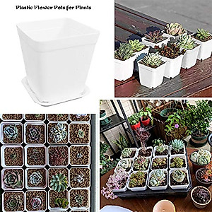 OJYUDD 3inch White Square Plastic Plant Pots with Saucer,24 Pcs Plastic Flower Pots for Plants,Plant Pots with Drainage Hole for Home,Company,Office and Garden(White)