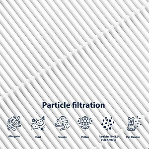 AP-T20 Replacement HEPA Filter Compatible with Homedics AP-T20 and AP-T20WT Purifier, 3-in-1 True HEPA Replacement Filter, Part# AP-T20FL, Pack of 2