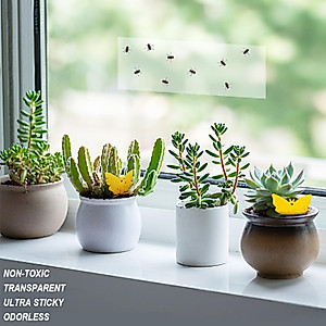 VART 63 Pack Window Fly Traps for Indoors Sticky, Indoor Fly Paper Trap Non-Toxic Fly Strips for Windows - Glue Fly Catcher Fly Sticky Traps Indoor Bug Sticky Traps for Housefly, Ladybug