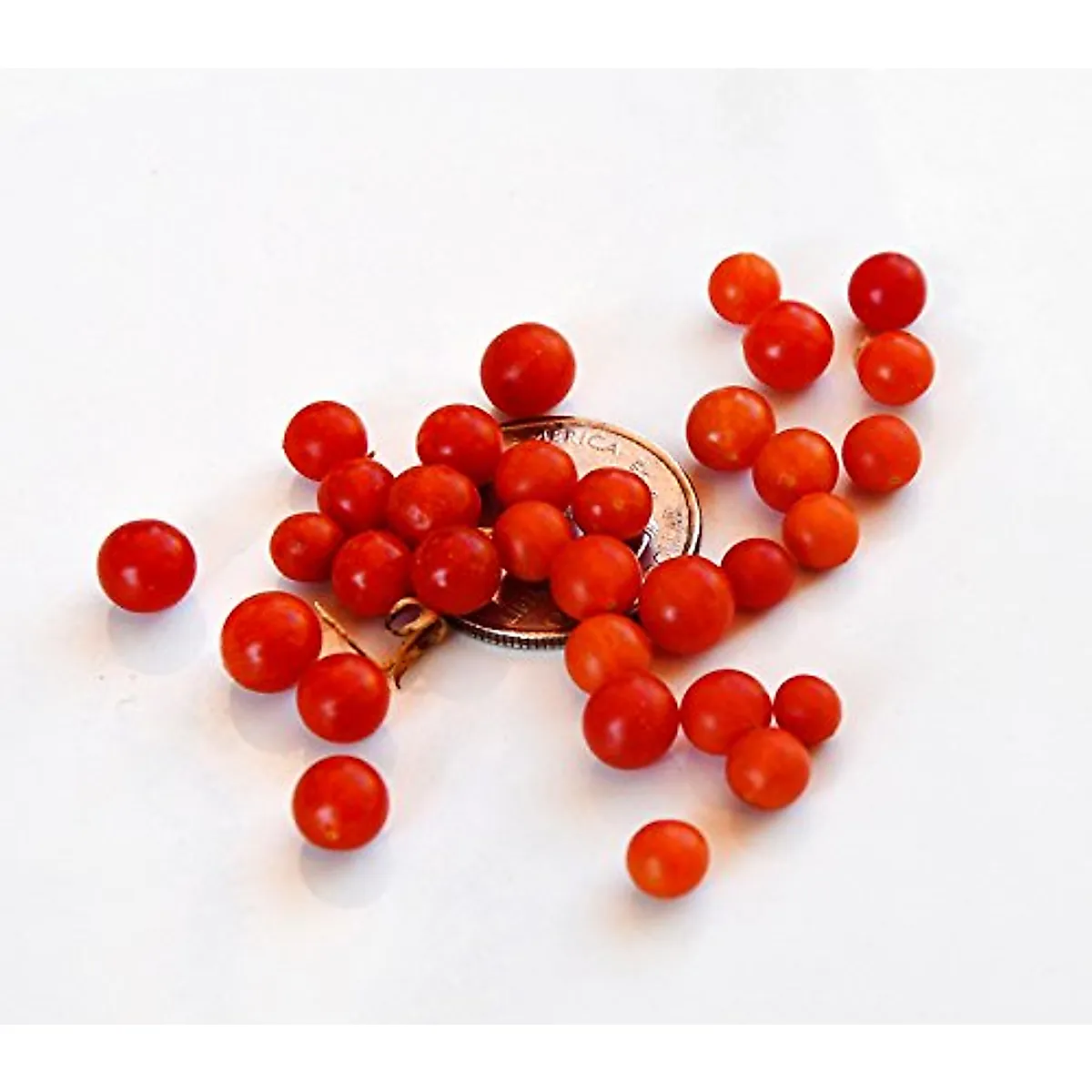 20+ Worlds Smallest Spoon Currant Tomato Seeds, Early, Heirloom Non-GMO, Rare, Early, Vigorous, Sweet, Indeterminate, Open-Pollinated, Delicious, from USA