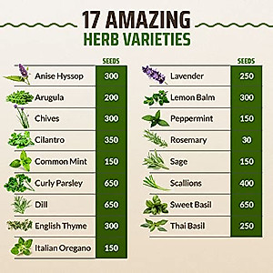 17 Herb Culinary Seed Vault - 5200+ Herbs Seeds for Planting Indoor or Outdoor Garden - Heirloom, Non GMO | Hydroponic Herb Garden Seeds with High Germination | Cilantro, Mint, Chives, Basil, Parsley