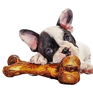 Powerpet Jr. Mammoth Bone - Halloween Dog Treats, Natural Beef Dog Chew Bones, Digestible Dog Bones w/High Calcium, for Dental Health, Large Breeds & Aggressive Chewers - Odorless, Smoked Flavor 1pc