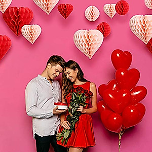 UNIQOOO 16 Pack Red Blush Pink Party Decoration Pom Pom | Heart & Ball Tissue Paper Honeycomb | Perfect for Party Decor, Wedding, Valentine's Day, Engagement, Bridal Shower, Baby Shower, Birthday