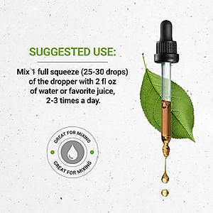 UTI Secret Alcohol-Free Extract, High-Potency Herbal Drops, Tincture Made from Cranberry, Bromelain, Pineapple, Uva Ursi, Oregon Grape, Corn Silk, Horsetail. Urinary Tract Formula 2 oz