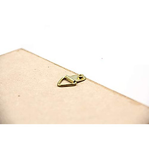 TAXIBUGS Jewel Beetle Mounts Insect Animals Taxidermy in Framed (3 Sternocera Aeguisignata)