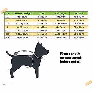 Petitebella Happy St Patrick's Day High Hat Puppy Dog Dress (Black/Green Floral, Medium)