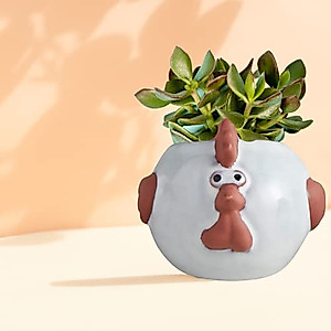 Needzo Round Succulent Planter Farmhouse Chic Ceramic Pig Shaped Plant Holder, Home Garden Office Desktop Decoration Small Flower Pot, 2.8 inches