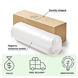Zinus 10 Inch Ultima Memory Foam Mattress / Pressure Relieving / CertiPUR-US Certified / Mattress-in-a-Box, Queen