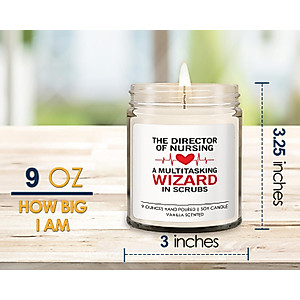 Flairy Land Nurse Director Vanilla Candle - in Scrubs - Labor Clinical Certified Nursing Assistant Surgica Oncology Practitioner