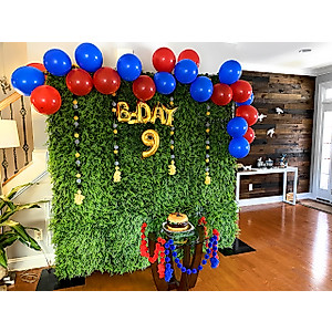 Party Pom Pom Garland Felt Ball Garland Pom Pom Strings Used for Nursery Bunting Banner Holidays Christmas MantleTree Birthday Decor Mexican (Party Pompom)