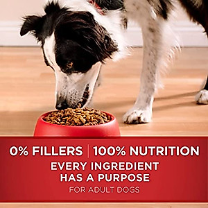 Purina ONE Smartblend Natural Lamb & Rice Formula Adult Dry Dog Food (44 Lbs.), 44 Lb