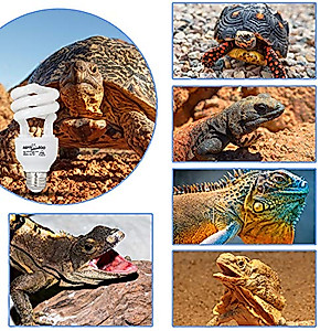 REPTIZOO Energy Saving Lamps UVB Bulb,Spiral Compact 15 Watts UVB 10.0 Reptile Light Bulb Fit for Desert Type Reptile/Snake/Lizard/Insect/Leopard Tortoise