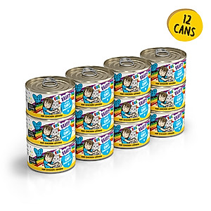 Weruva B.F.F. OMG - Best Feline Friend Oh My Gravy!, Chicken Cloud 9 with Chicken in Gravy, 2.8oz Can (Pack of 12)