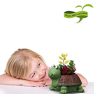 Turtle Succulent Flower Pot Mini Resin Animal Plant Pot Resin Succulent Pot Planter Cute Cartoon Bonsai Pot Bonsai Plant Holder for Home Office Desktop Table Ornament (Green Turtle with Brown Shell)
