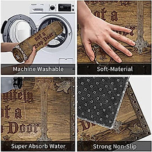 KIYIYZER Definitely Not A Trap Door Door Mat Funny Entrance Welcome Outdoor Indoor Mats Home Decor Housewarming Gift 17 x 30 Inches