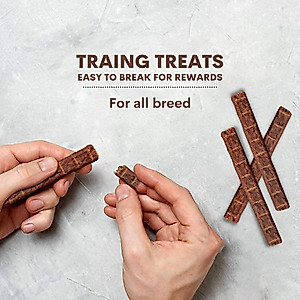 TRICK OR SNACK Premium 1lb Dog Jerky Treats | Dog Training | Dog Walking | Natural Grillers | Healthy Smoked Beef Chicken Salmon Chews Snacks Beef Cranberry Jerky