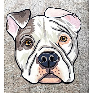mxn Custom Pet Portrait Rug,Custom Rug Design Personalized Pet Shaped Rug Handmade Custom Blanket Rug Animals,Dog,Cat,with Picture,Personalized Pet Memorial Gifts (65 * 80cm)