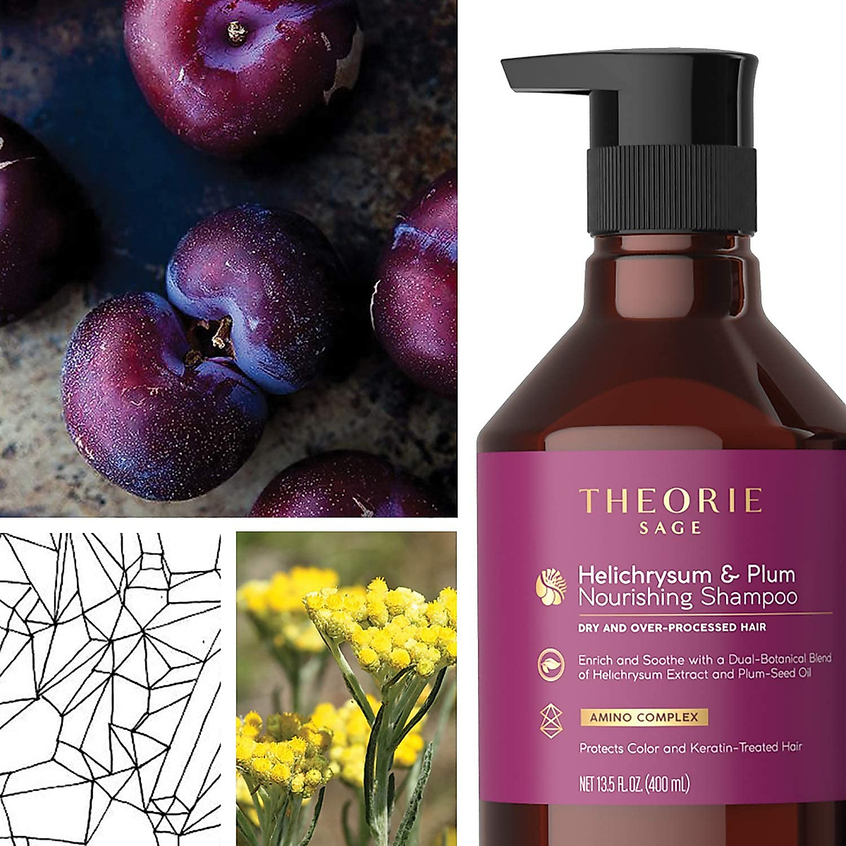 Theorie Helichrysum and Plum Nourishing Shampoo - Enrich and Soothe - Suited for Dry & Over Processed Hair - Protects Color & Keratin Treated Hair, Pump Bottle 800mL - Label Design May Vary