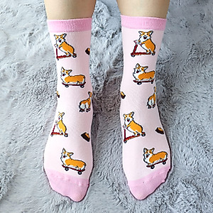 Belloxis Corgi Gifts for Corgi Lovers, Corgi Socks 5 Pairs, Funny Fun Novelty Socks, Gifts for Women