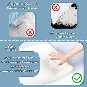 AM AEROMAX 22 ×22 Pillow Insert (Pack of 2) Memory Foam Throw Pillow Insert Sham Square for Decorative Cushion Bed Couch Sofa Without Deform After Longtime Use