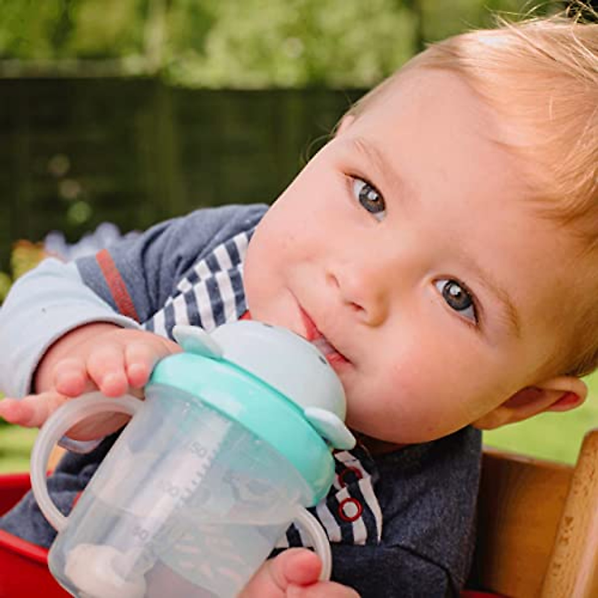 TUM TUM Tippy Up Free Flow Sippy Cup (No Valve), Sippy Cup for Toddlers, 200ml, BPA Free (Boris Bear)