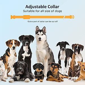 PATPET Dog Shock Collar with Remote - Waterproof Dog Training Collar for Small Medium Large Dogs with Beep, Vibration and 16 Static Levels Shock