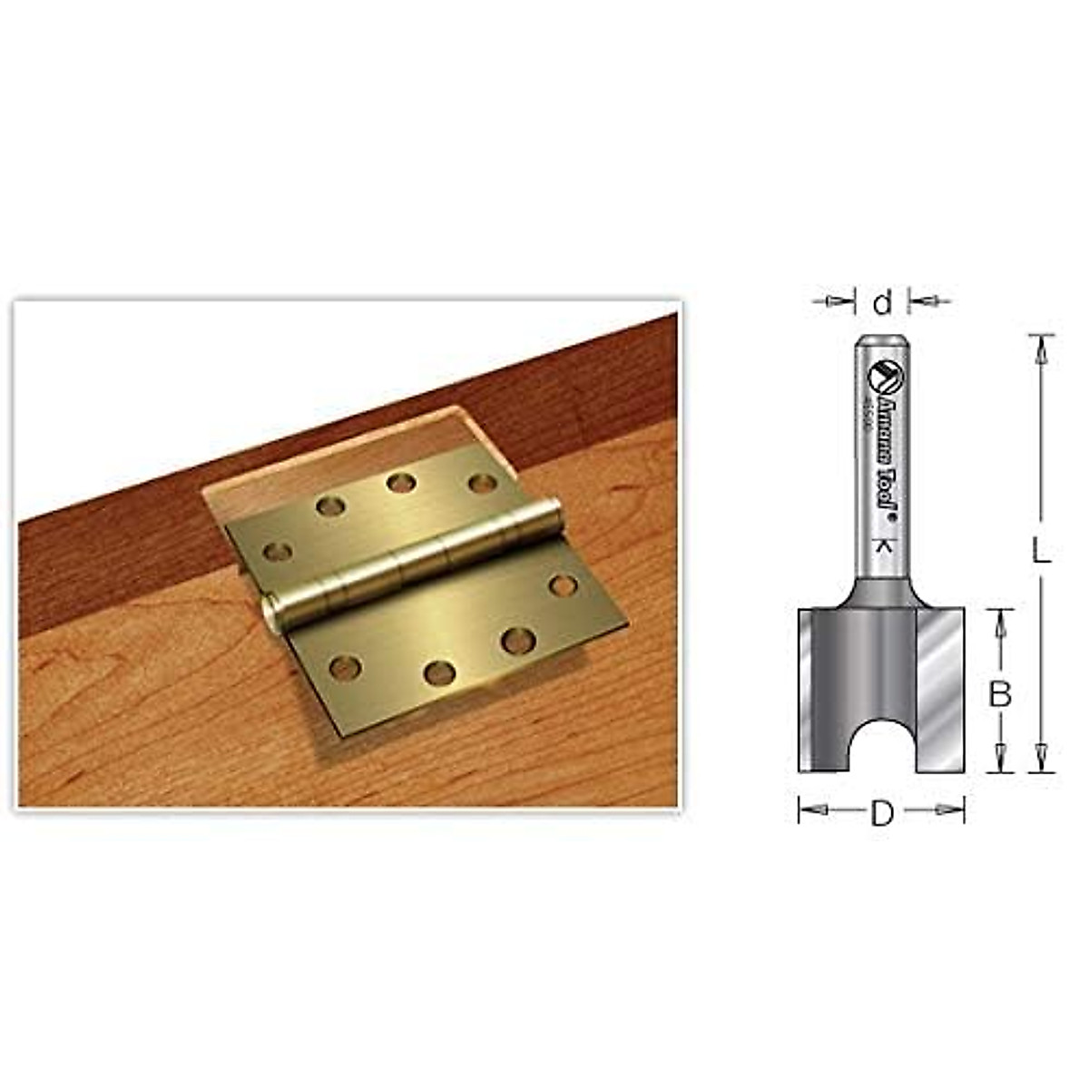 Amana Tool - 45505 Carbide Tipped Mortising 1-1/4 Dia x 3/4 x 1/2" Shank
