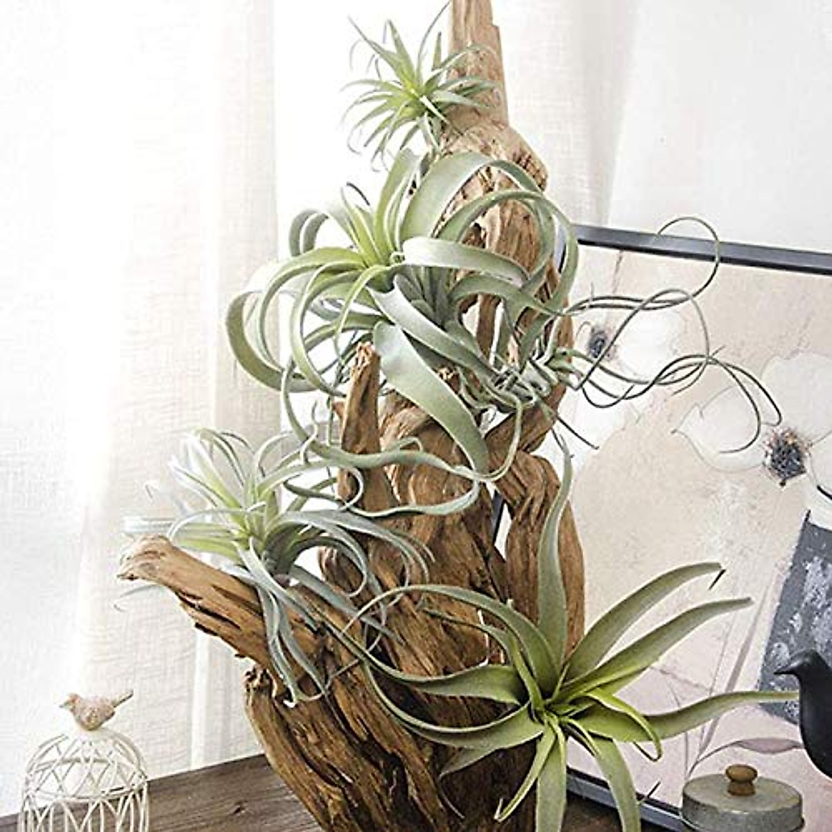Haudang 4Pack Artificial Pineapple Grass Air Plants Fake Flowers Faux Flocking Tillandsia Bromeliads Home Garden Decor