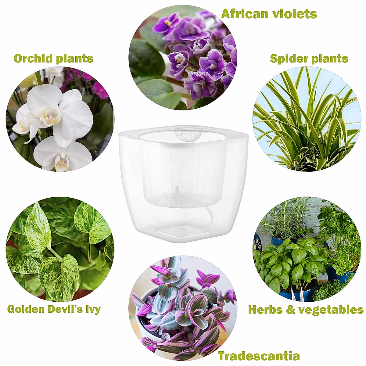 6-Pack Clear Self Watering Planters for Indoor Plants 7" Large African Violet Plant Pots Plastic Wick Flower Pots with Water Injection Hole, Orchid Plant Pot Set, Clear