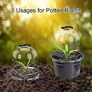 MorTime 6 Pack Garden Cloche Plant Dome, 7.3" D x 6.9" H Plastic Plant Bell Cover Reusable Mini Greenhouse with 18 Ground Securing Pegs & 10 Plant Labels for Outdoors Frost Freeze Protection