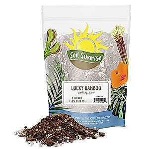 Lucky Bamboo Plant Potting Mix (2 Quarts), Custom Soil Mix for Repotting