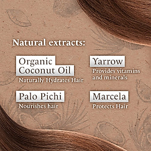 Tio Nacho Coconut Oil Shampoo Value Pack, 14 Fl Oz (Pack of 3)