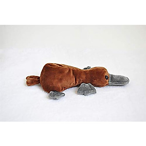 TAMMYFLYFLY 8.6" Realistic Platypus Soft Plush Pillow Kawaii Girls and Boys Stuffed Animals Toys Duckbill for Kids' Gifts (Duckbill) (American)