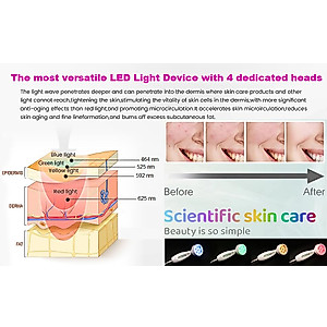 Fusion Skin Duo Red & Blue Light Therapy for Face Handheld LED Light Therapy Facial Massager Anti-Aging Wrinkle Reduction Device