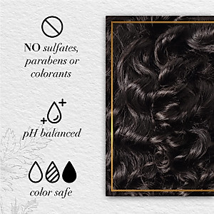 Herbal Essences bio:renew Sulfate Free Shampoo & Conditioner 13.5 Fl Oz each, and Curl Cream 6.8 Fl Oz Set â€šÃ„ì With Mango + Potent Aloe, Complete Curly Hair Care for Defined Curls