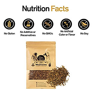 Fowl Treats Naturally Fortified Mealworms - Protein Rich Supplements Suitable for Hens and Ducks, Contains USA Grown Ingredients – Helps with Bone Strength, Feathers & Molt – 8oz