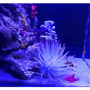 Mallofusa Artificial Aquarium Fish Tank Decoration Silicone Sea Anemone Artificial Fish Tank Ornament Decoration (White)