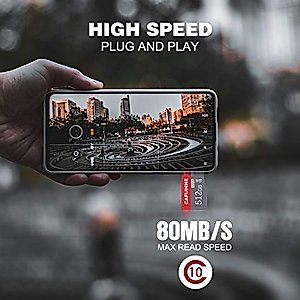 512GB Micro SD Card 512GB with Adapter High Speed Card Class 10 Memory Card for Android Smartphone,Digital Camera,Tablet and Drone MicroSD （512GB）