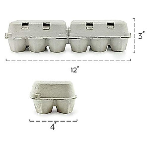 Cornucopia Half Dozen Egg Cartons (30-Pack); Split Apart Style for 6 Egg or 12 Egg Use; Holds 180 Eggs Total