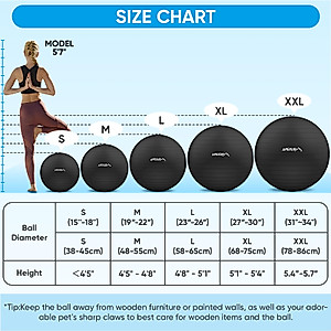 APEXUP Yoga Ball Exercise Ball, Anti Slip Stability Ball Chair, Heavy Duty Large Gym Ball for Fitness, Balance, Core Workout and Physical Therapy (L (23"~26") 65cm, Black)