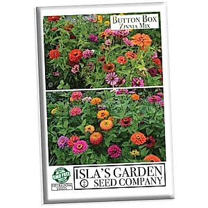 "Button Box Mix" Zinnia Seeds for Planting, 100+ Flower Seeds Per Packet, (Isla's Garden Seeds), Non GMO & Heirloom Seeds, Botanical Name: Zinnia elegans, Great Home Garden Gift