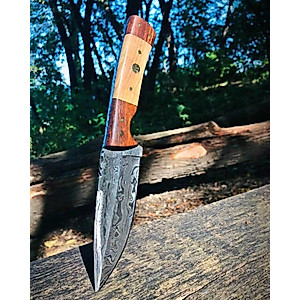 Titan International Knives 8.2" Damascus Steel Fixed Blade Hunting Knife | Handmade 1095 4340 Carbon Mix Hand Pounded | EDC Black Walnut and Olive Wood Handle | Leather Sheath Multi Purpose Survival and Camping Knives