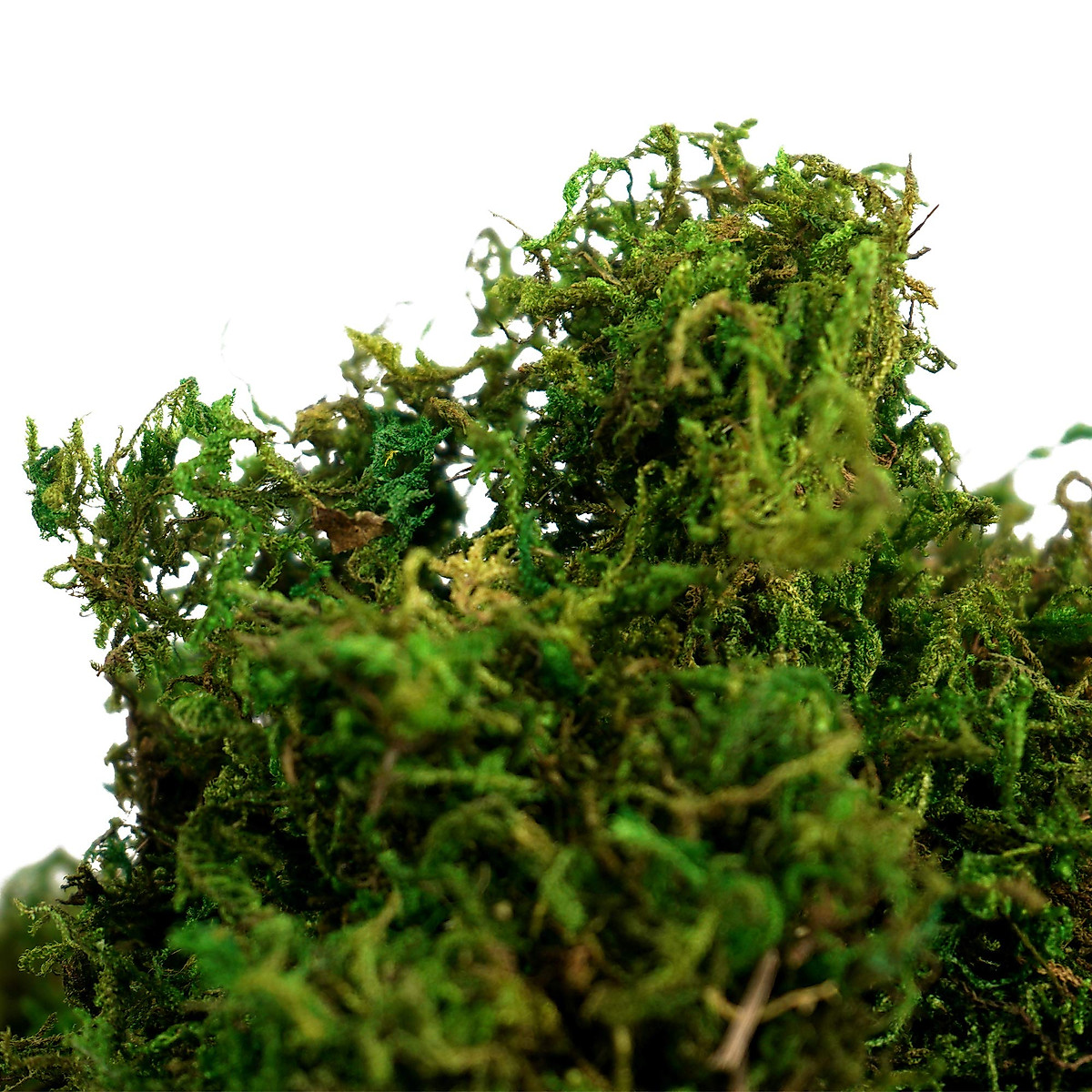 BYHER Artificial Moss Fake Green Grass for Centerpieces Home Kitchen Garden Decor (8OZ, Fresh)