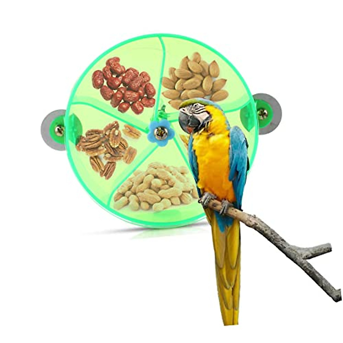 Mipcase System Accesssories Wheel Feeder Cages Creative Parakeet Rotate for Puzzle Conure Parrots Feeding Training Toy Rotating Feed Shredder Case Bird Storage Foraging Parrot Cockatiel